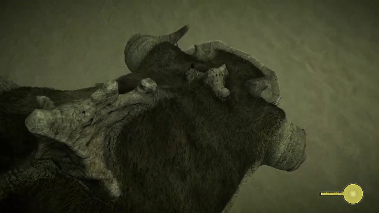 SHADOW OF THE COLOSSUS. Time to Reminisce. - YouTube
