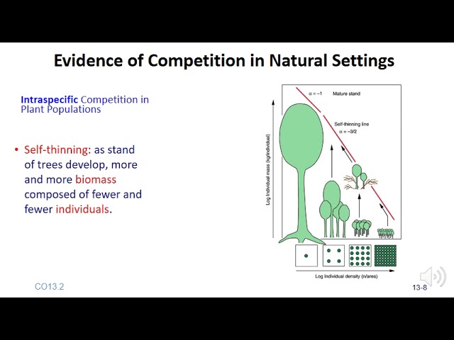 Intraspecific Competition In Plants