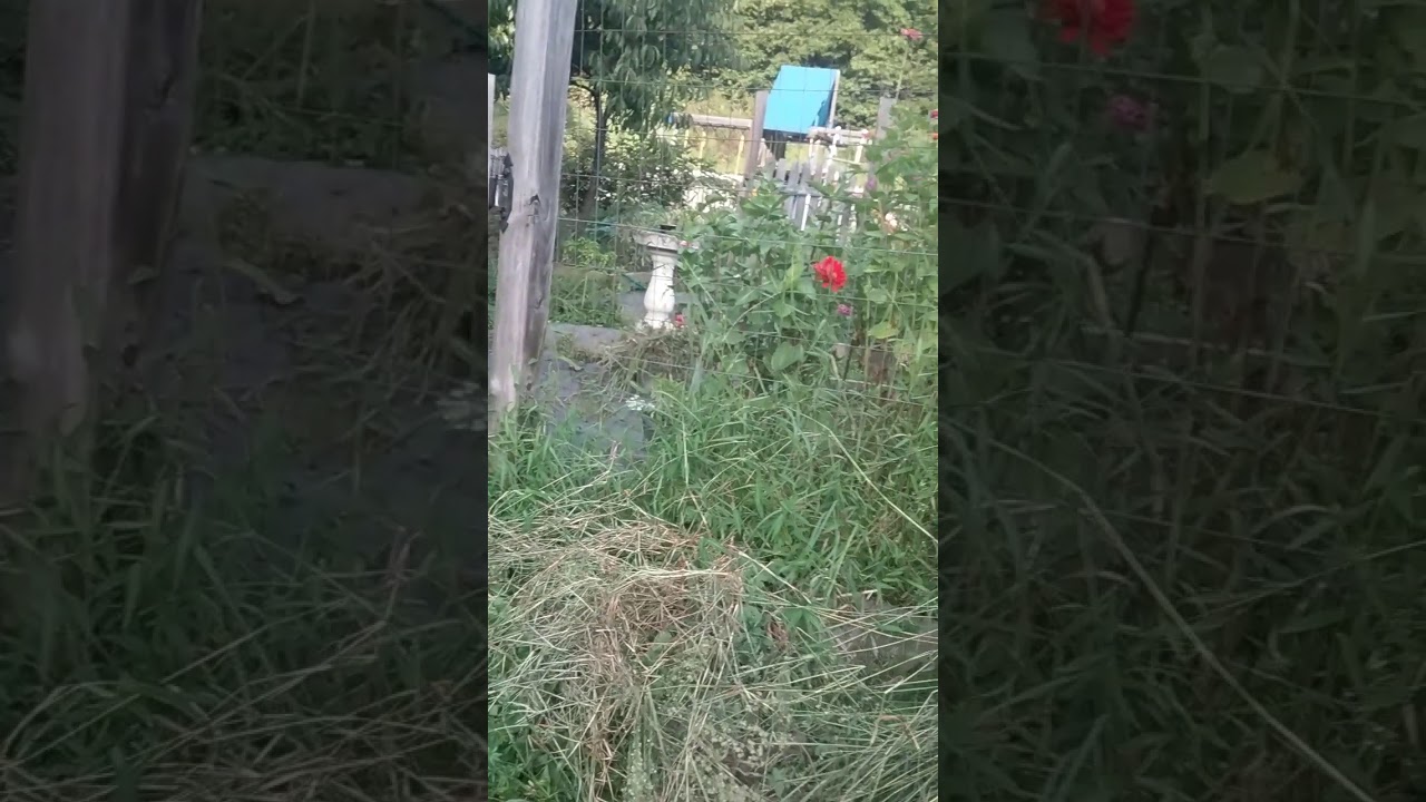 Golly goober - YouTube