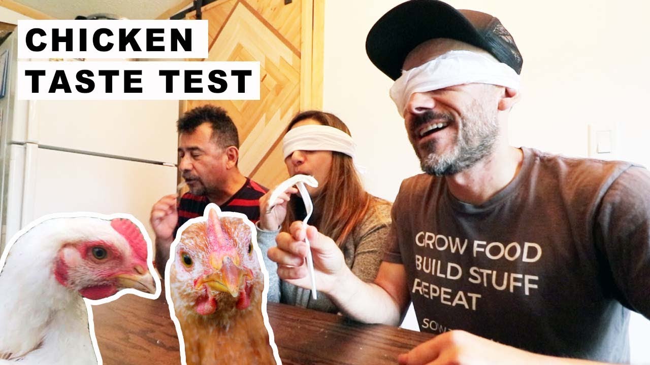 (TASTE TEST) Freedom ranger vs. Cornish Cross CHICKEN CHALLENGE - YouTube