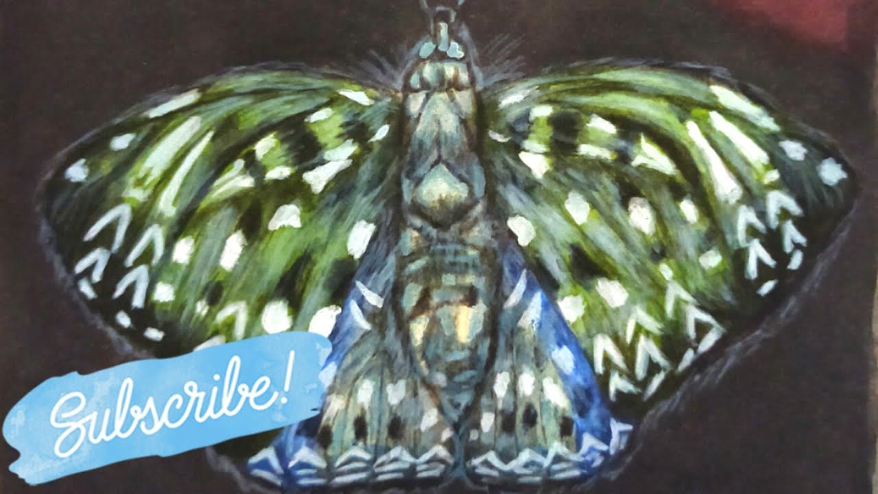 The Moth Painting 🤩 (with acrylic paints) - YouTube