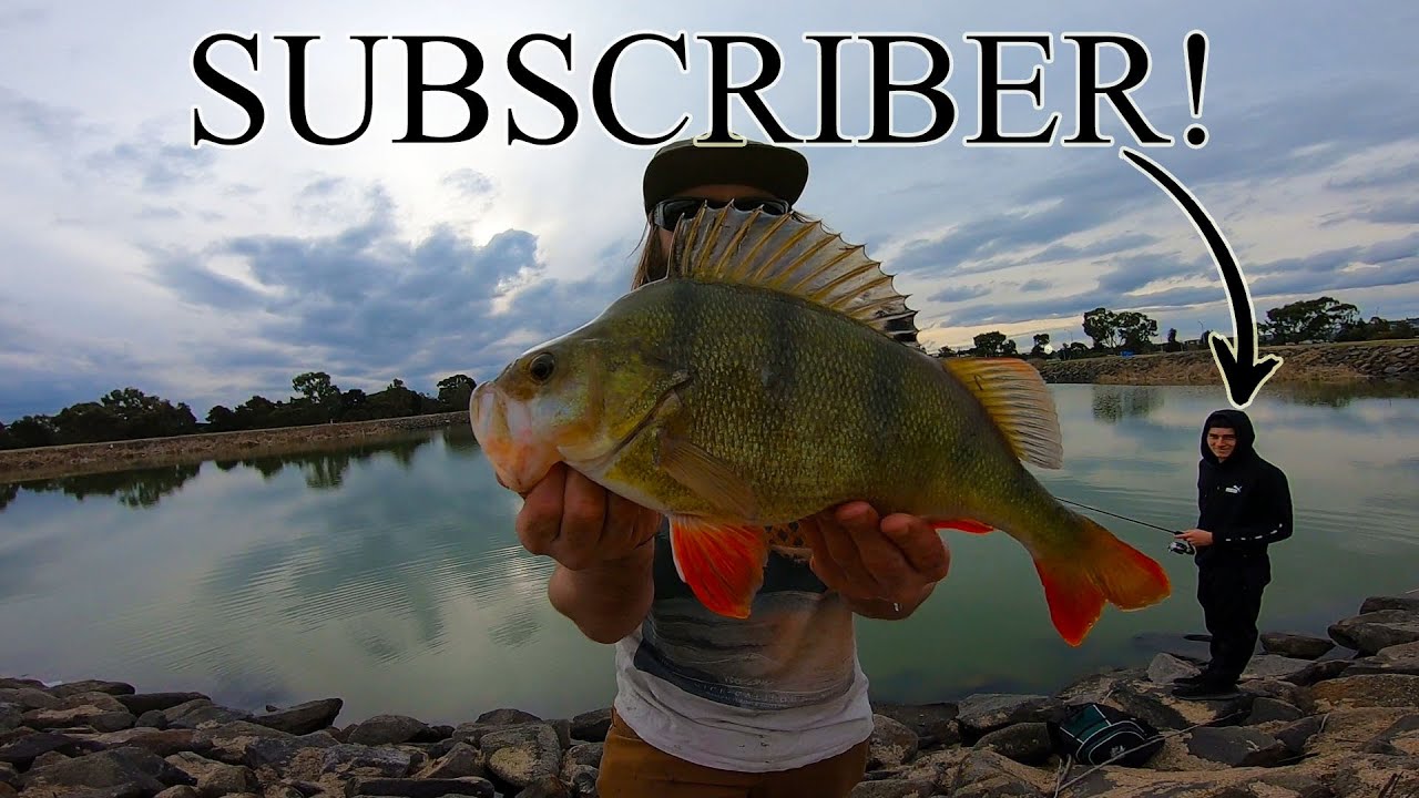 I GOT STALKED WHILE FISHING! | The Search For A 50cm Redfin - YouTube