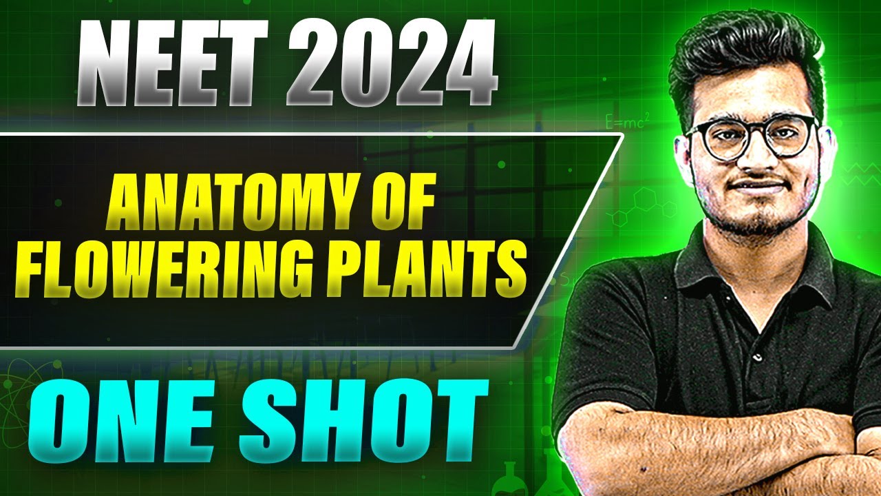 ANATOMY OF FLOWERING PLANTS in 1 Shot: FULL CHAPTER COVERAGE (Theory ...