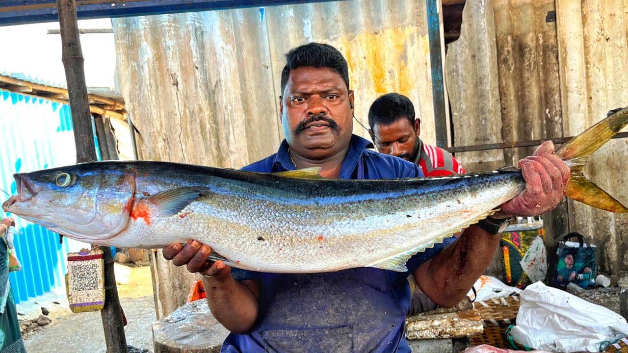 KASIMEDU 🔥 SPEED SELVAM | BIG SIZE POONGUZHALI FISH CUTTING VIDEO | 4K VIDEO | KM FISH CUTTING ...