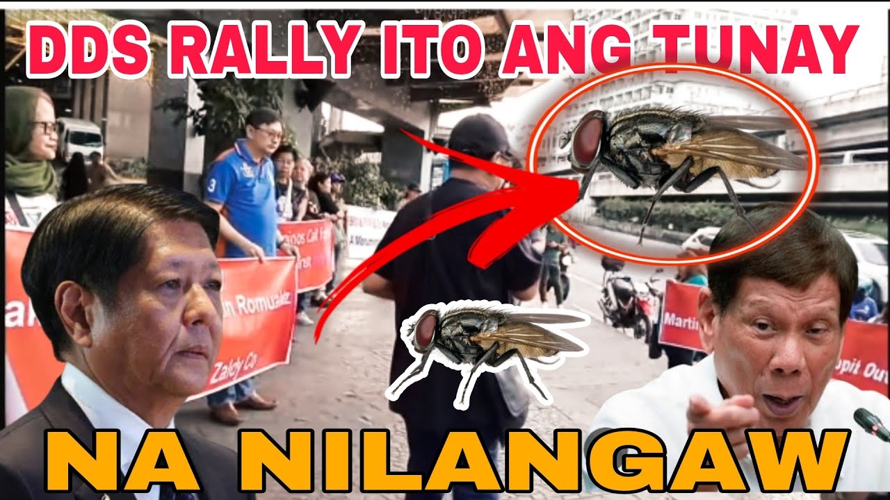 DDS RALLY SA EDSA ITO ANG LITERAL NA NILANGAW - YouTube