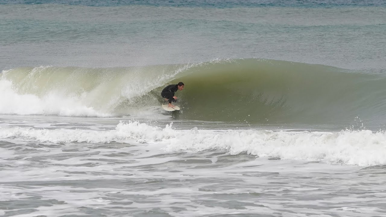 Montage of Clips from 01-24-25 - YouTube