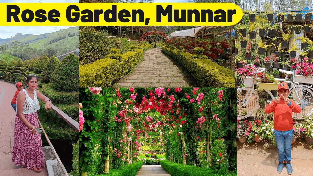 Government Botanical Garden Munnar | Rose Garden Munnar - YouTube