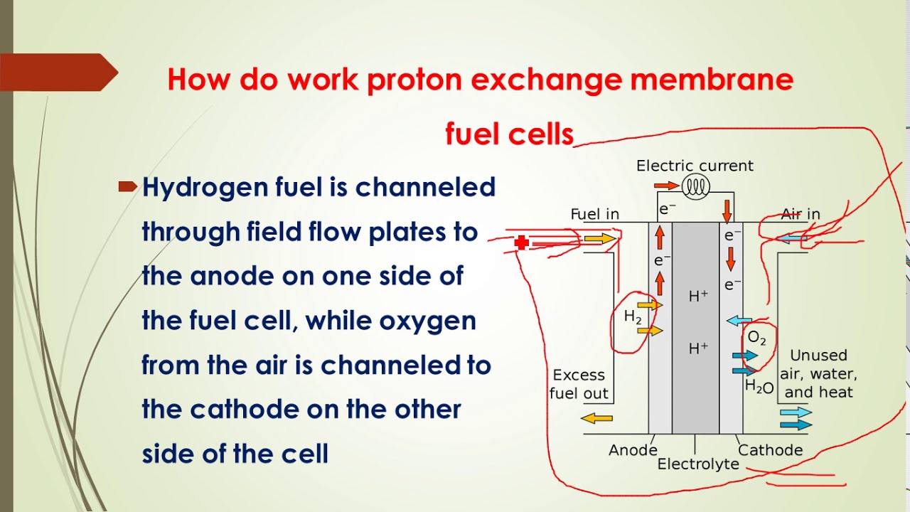 How do work proton exchange membrane fuel cells - YouTube
