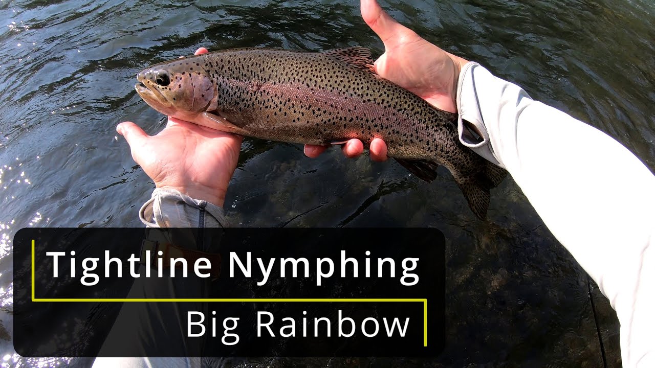 Tightline Nymphing, Big Rainbow, Fly Fishing, Oregon, Summer 2024 - YouTube