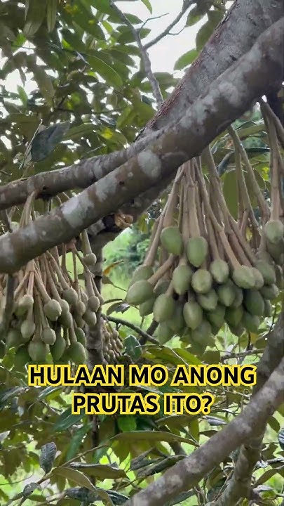 HULAAN MO ANONG PRUTAS ITO? - YouTube