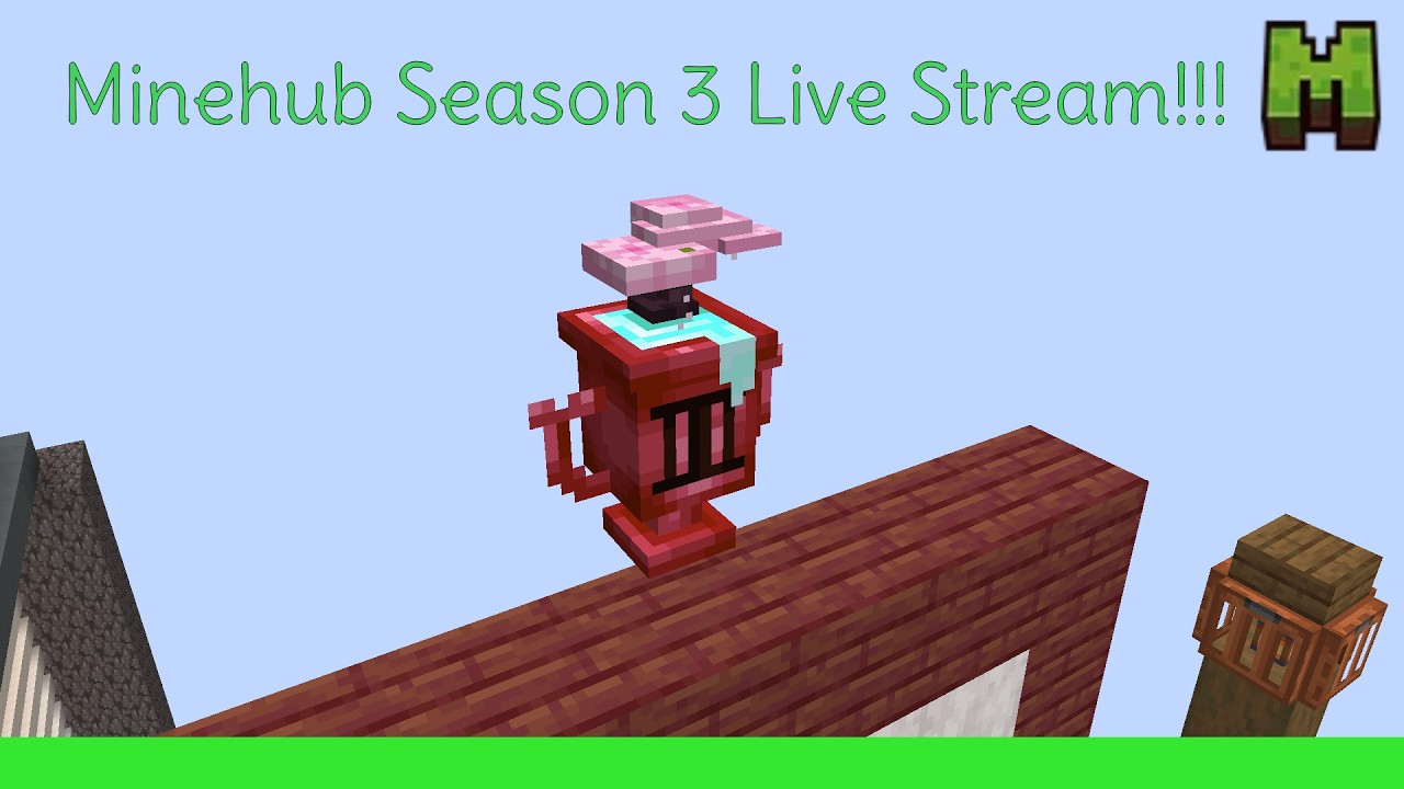 MineHub Playing with Viewers - YouTube