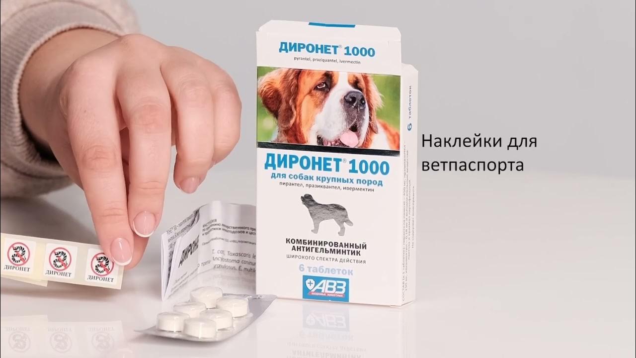 14 Диронет 1000 DogEats - YouTube