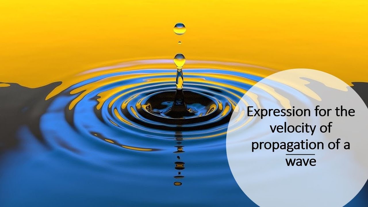 Expression: velocity of propagation of a wave - YouTube