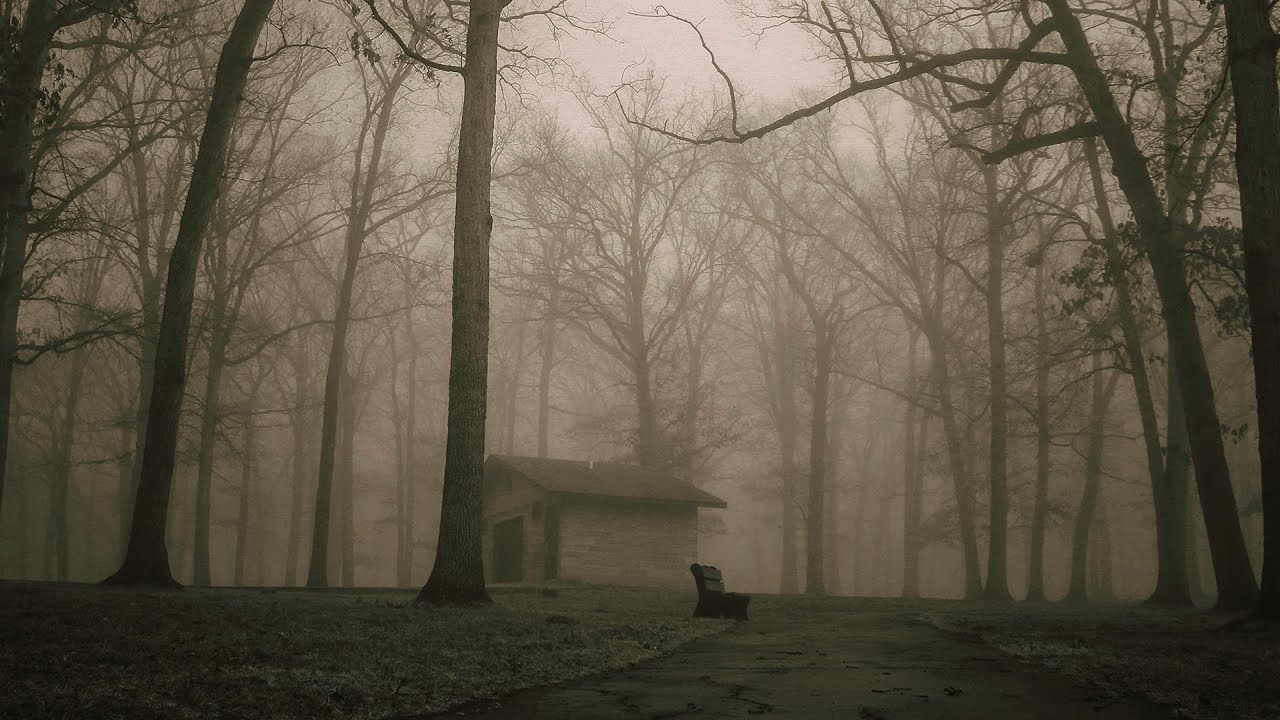 18 True Paranormal Stories | Strange Paranormal Activity | Paranormal M ...