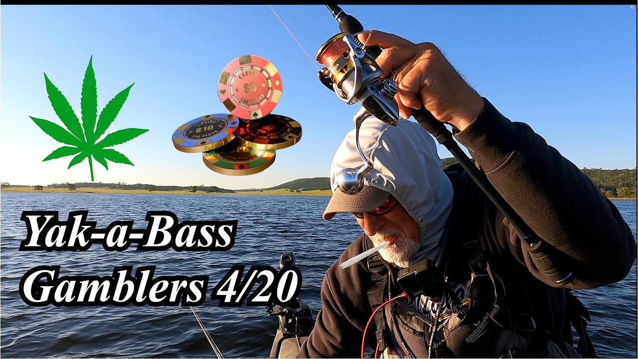 12 Anglers Battle it Out in Epic Fishing Tournament at Salt Springs ...