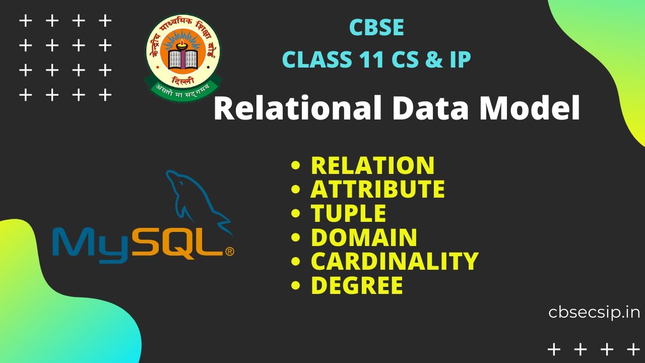 Class 11 Ip Relational Data Model Relation Attribute Tuple Domain Cardinality Degree