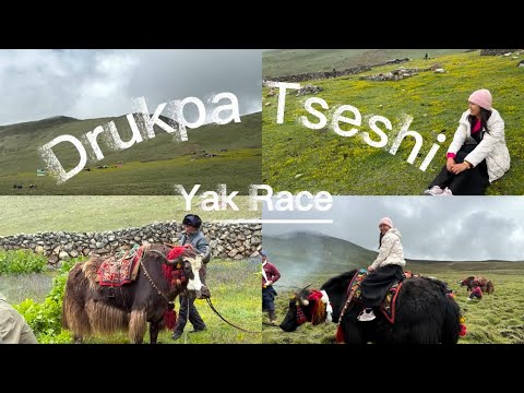 Drukpa Tseshi||Yak race||Lachar||Nomad’s Festival ||celebrating Culture ...