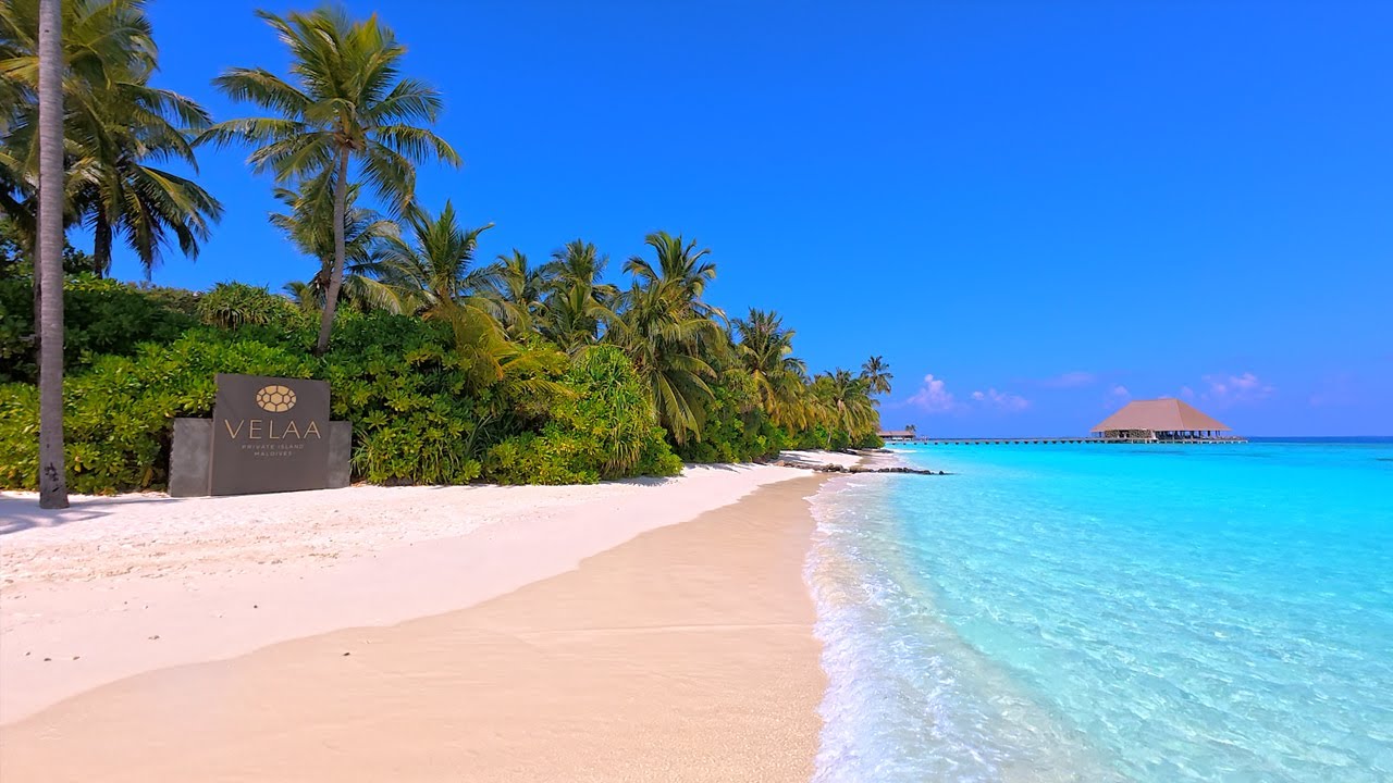 🏝 Paradise Found: Wild Beach and Crystal Ocean Waters. Relaxing Ocean ...