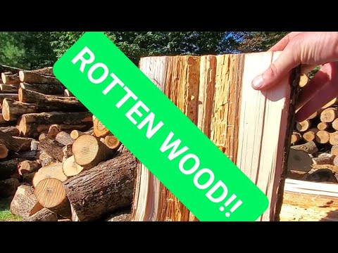 Wasting time!! Splitting rotten Maple firewood!!! - YouTube