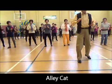 "Alley Cat" Line Dance - YouTube