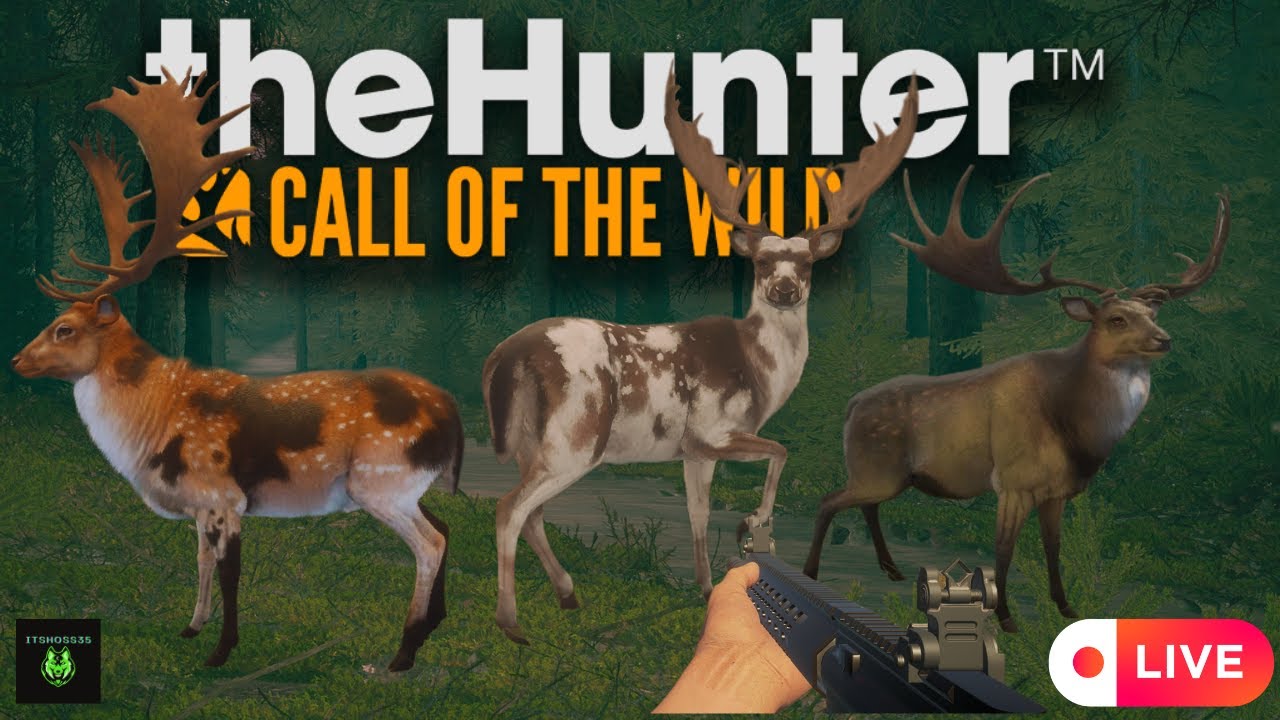 625 FALLOW DEER into the G1 Grind, Spawning Now!? | theHunter: Call of ...