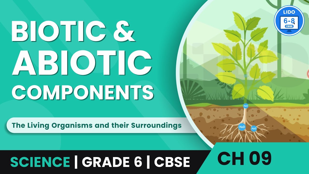 Abiotic and Biotic Components | The Living Organisms and their ...