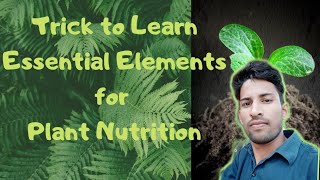 essential elements for plant nutrition