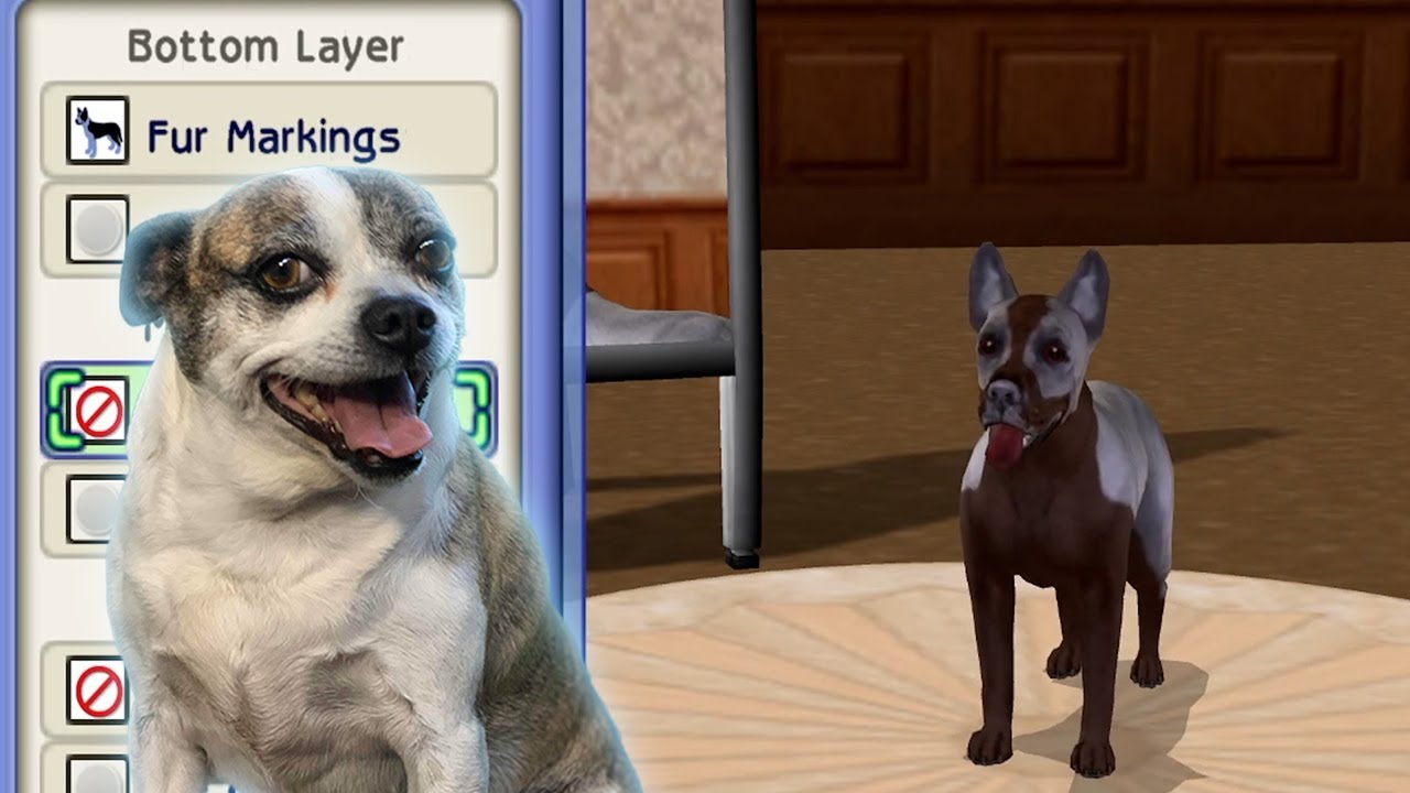 I HATE My Dog So I'm Playing Sims 2 Pets - YouTube
