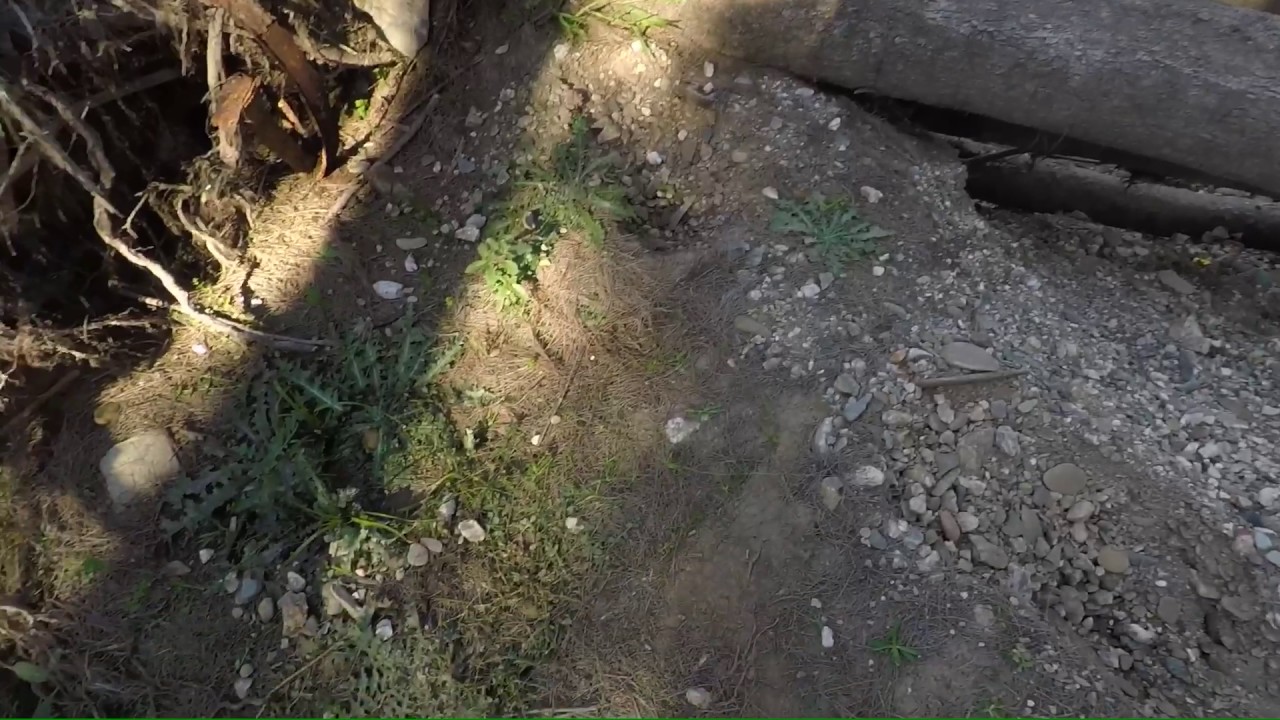 Tuena 2/7/17 part2 - YouTube