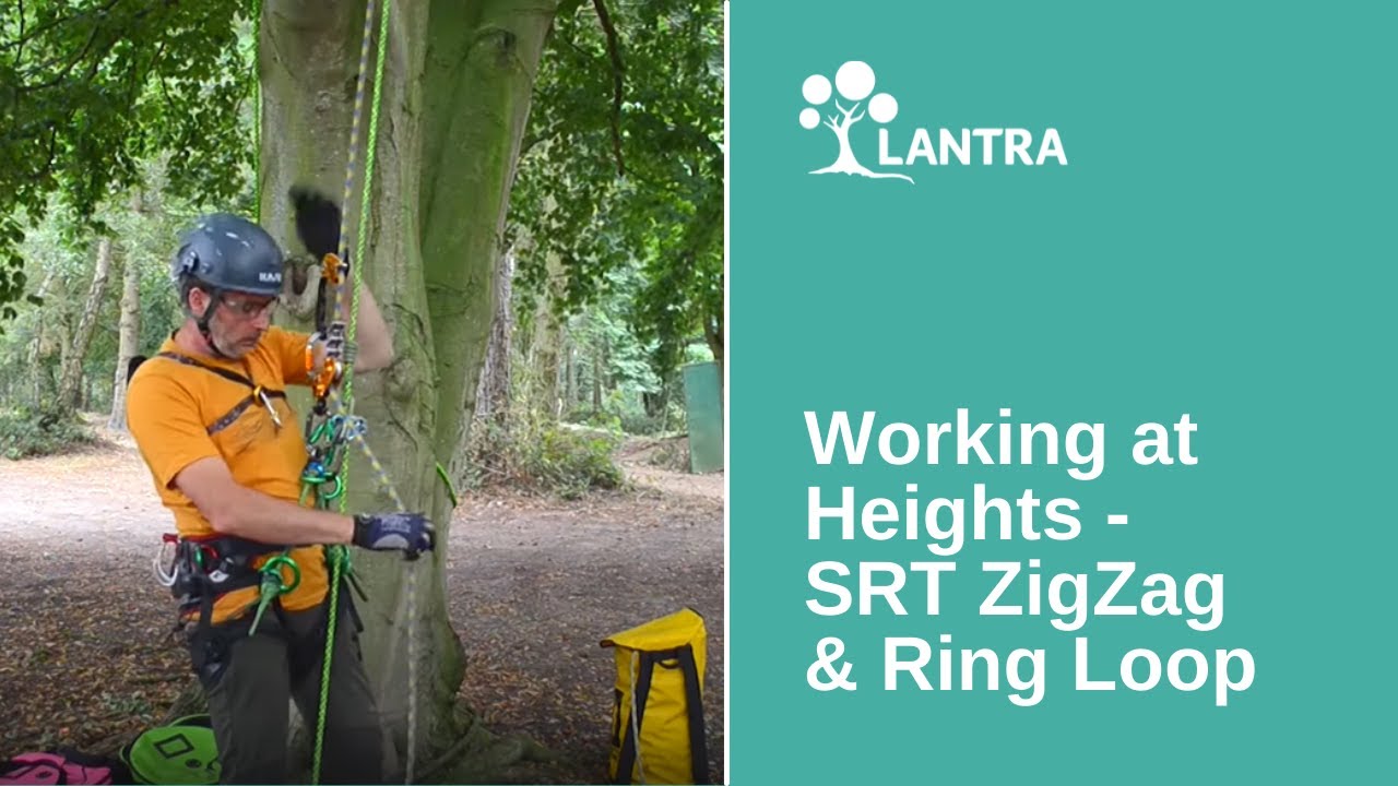 Working at Heights Compliance in Tree Climbing and Arb - 12) SRT Hitch ...
