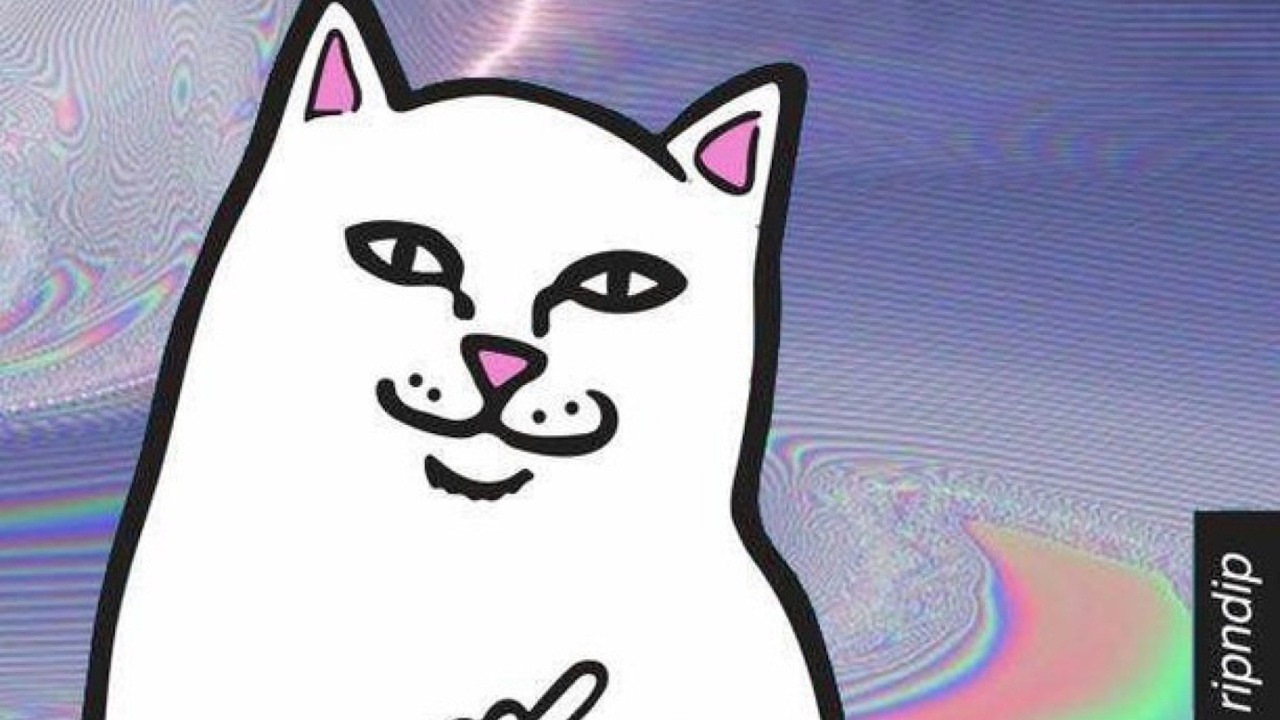 Treyvon Jackson Live Stream - YouTube