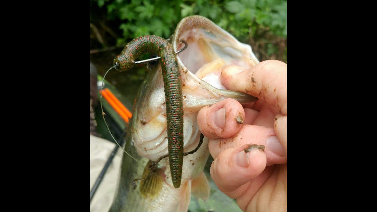 How to Rig a Senko - YouTube