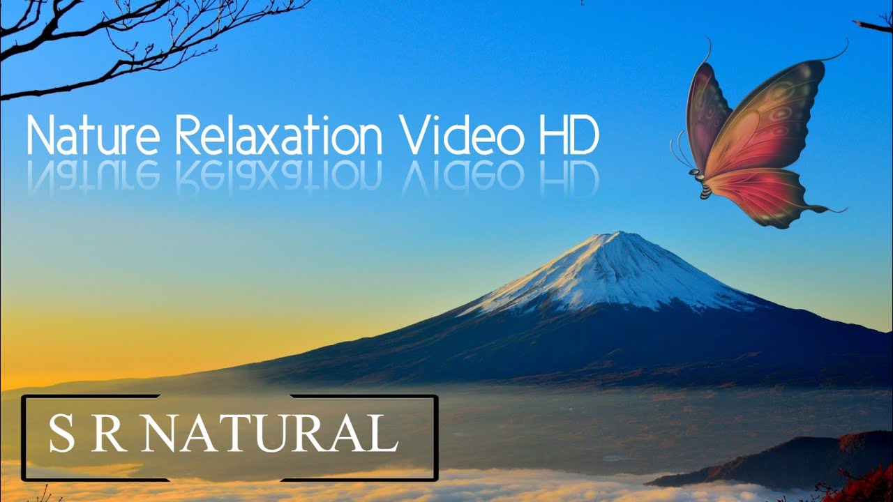 Nature Relaxation Video HD|With Allah Allah & Beautiful Natural - YouTube