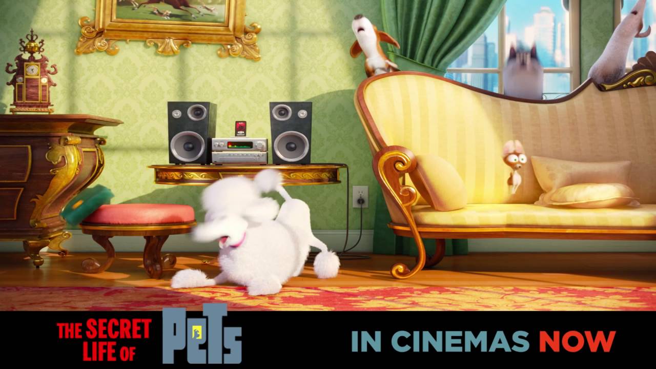 The secret is out! Watch #TheSecretLifeOfPets in cinemas now. - YouTube