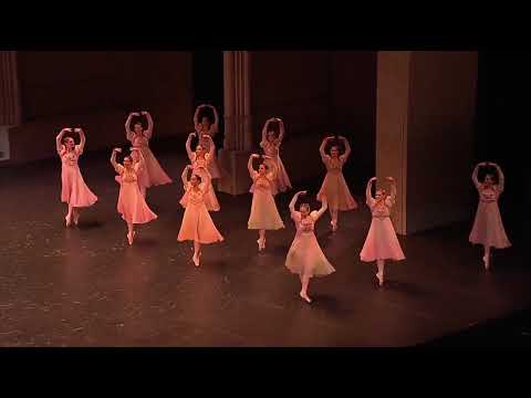Swan Lake Ballet (French Opera) #opera