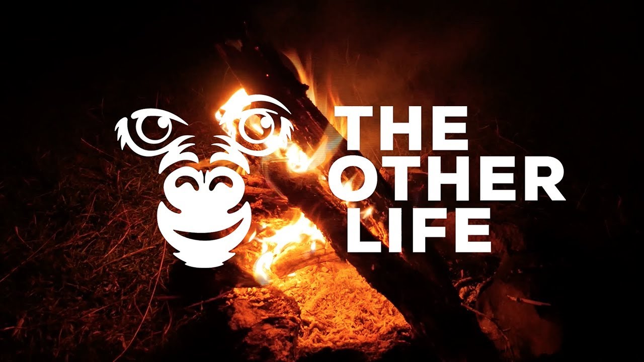 Tipeee - The Other Life