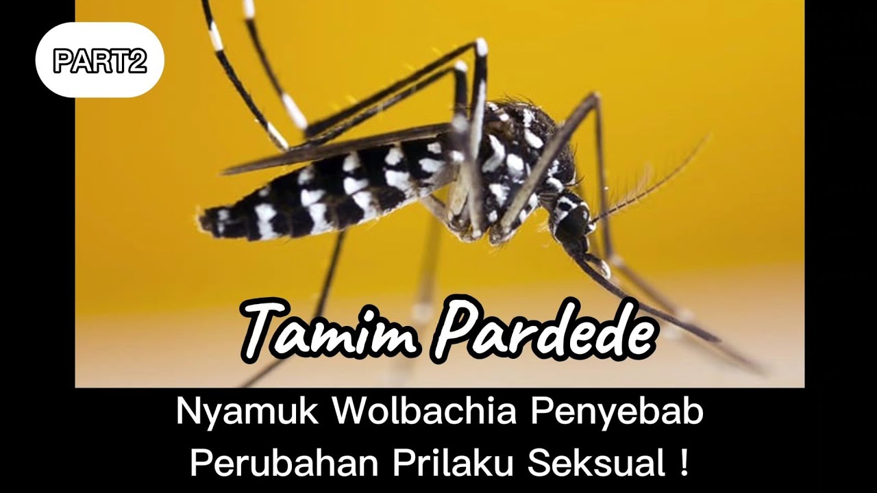 Tamim Pardede Sedih Banyak Pakar Tidak Paham Soal Genetik - YouTube