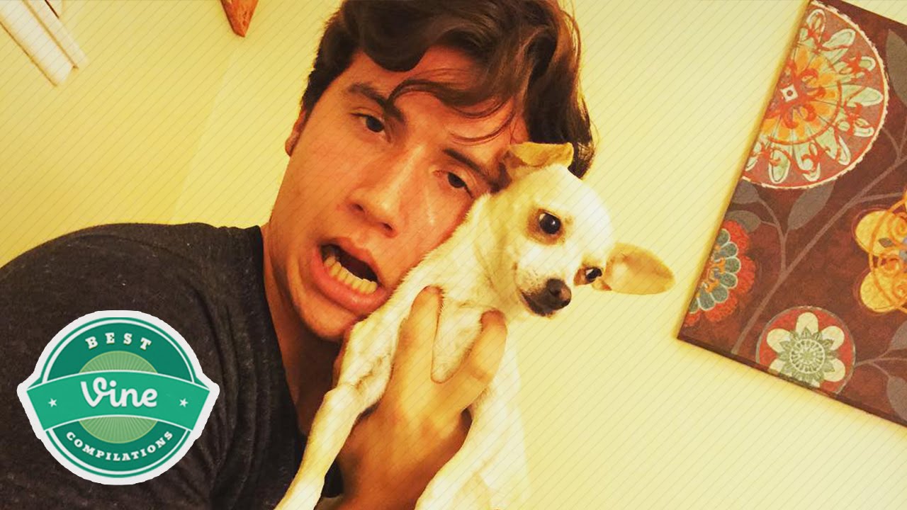 NEW BRANDON CALVILLO Vine Compilations 2015 | Best Brandon Calvillo ...