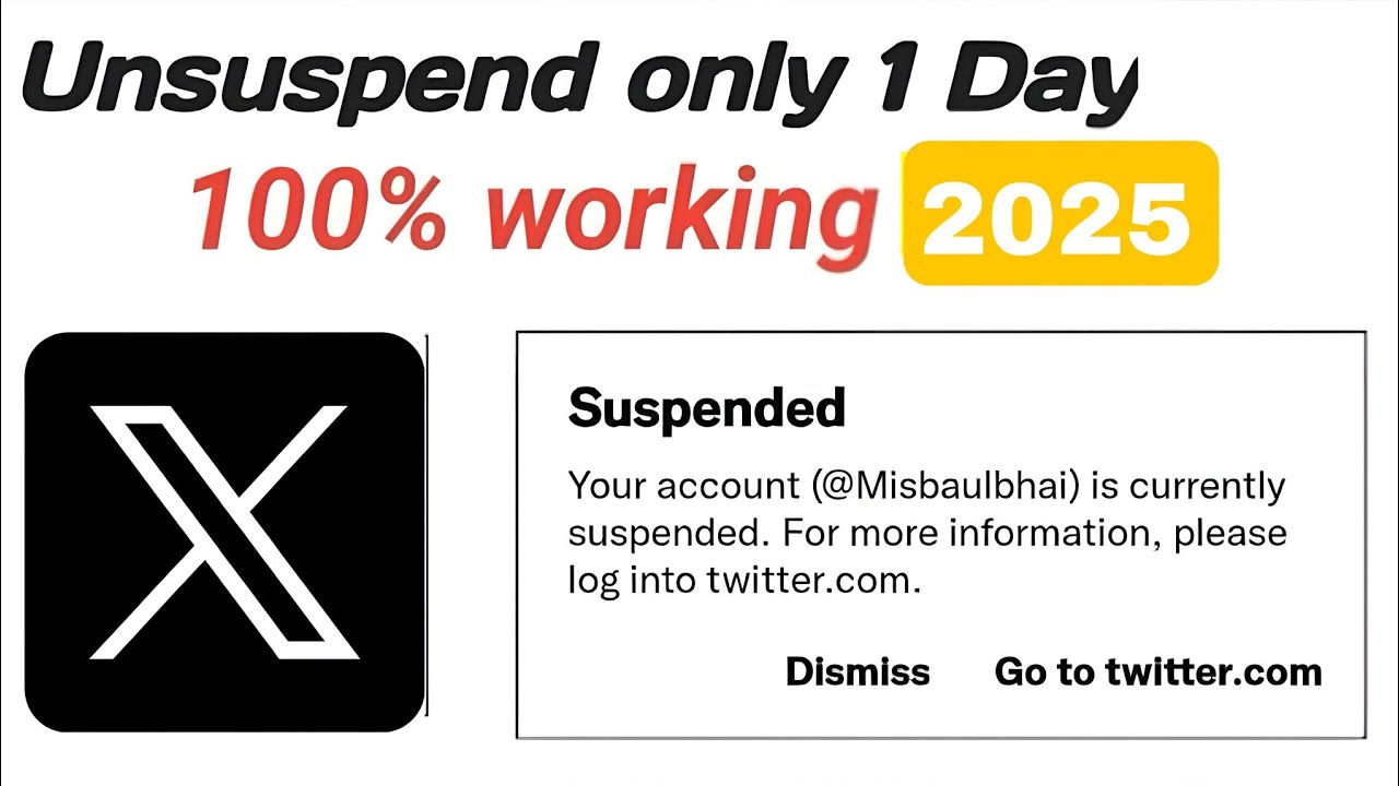 X Account suspended recovery in hindi 2025 Twitter ke suspend account ...
