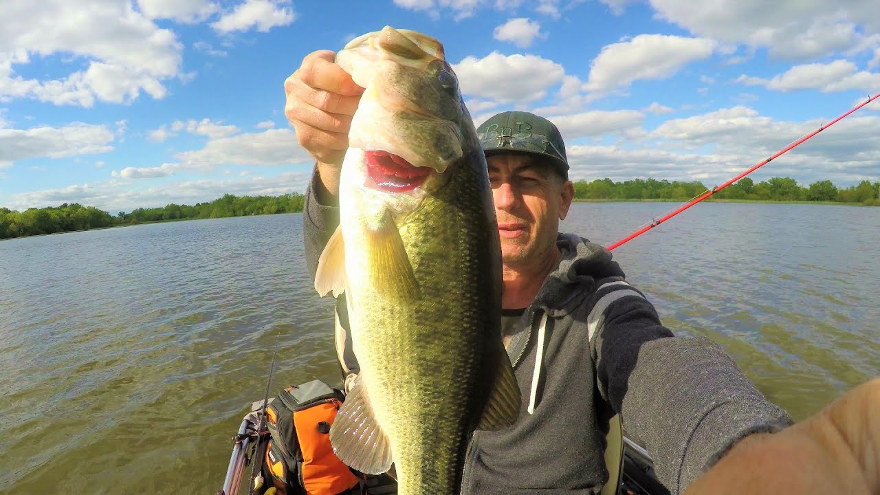 Bass Fishing Baits that work Keitech Crazy Flapper on BIffle Hardhead ...