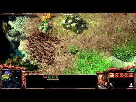 Ant Mill - Zergling Simulation