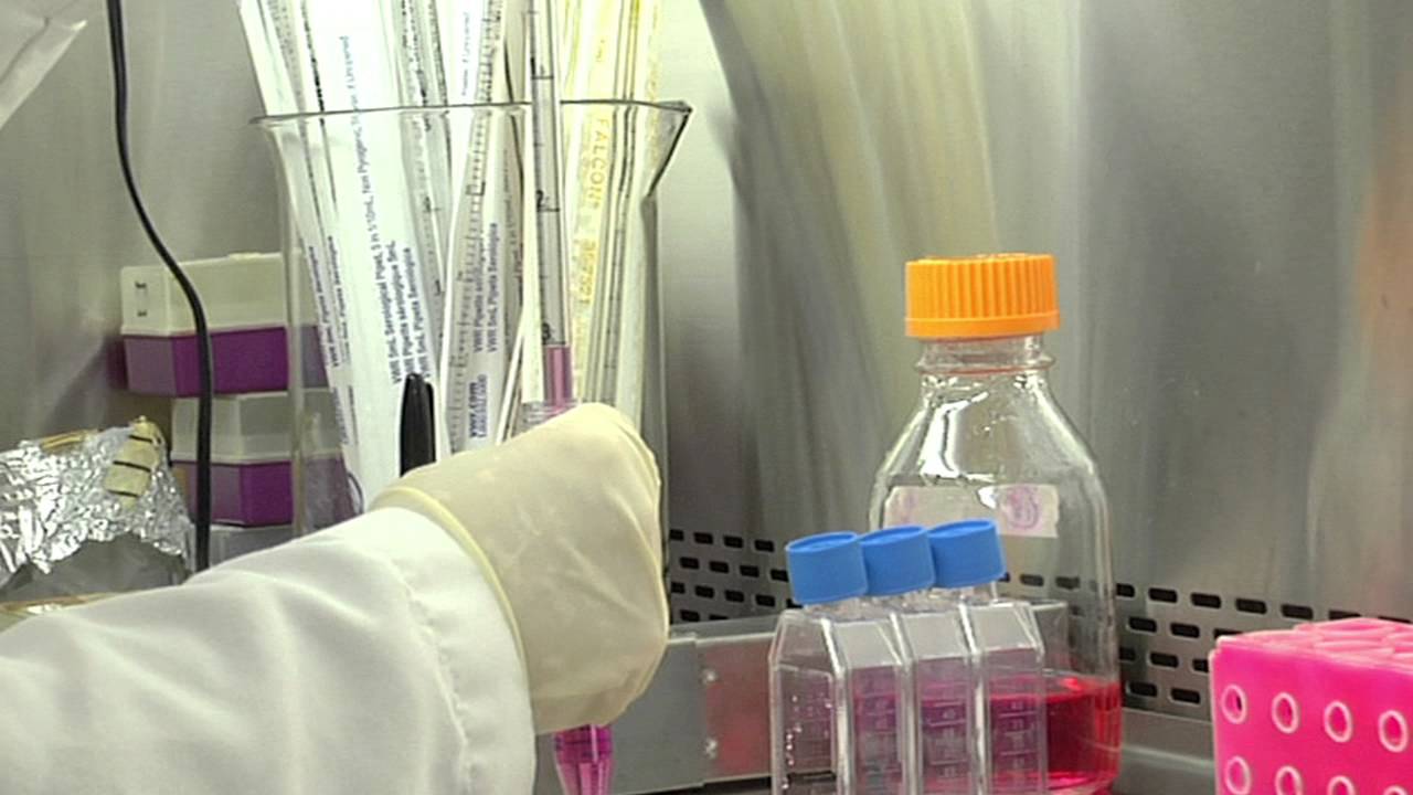 Cell Culture Basics 14: Adding cells to a cell culture dish - YouTube