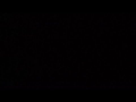 Listen to the calls of night owls. live streaming - YouTube