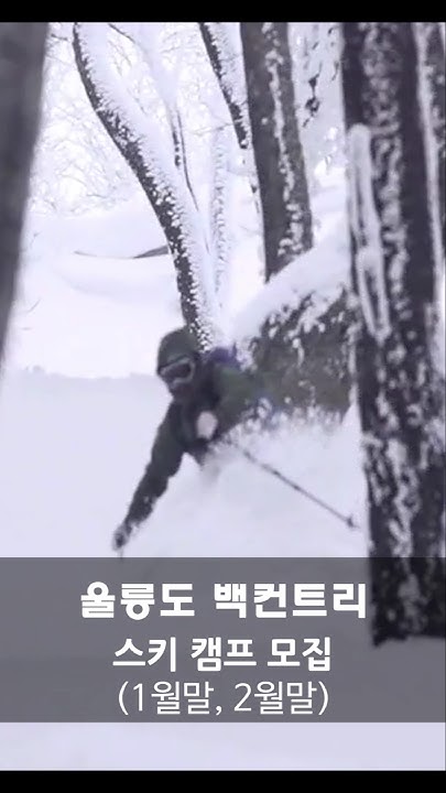 울릉도 백컨트리 스키 캠프 모집울릉도 스키 산악스키 파우더스키 산악스키 백컨트리 백컨트리스키 스키 스키어 스키강습 파우더 파우더스키 Youtube