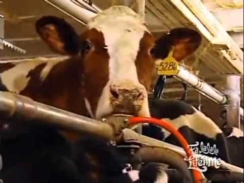 Wife Swap US Version 01x04 PART 2