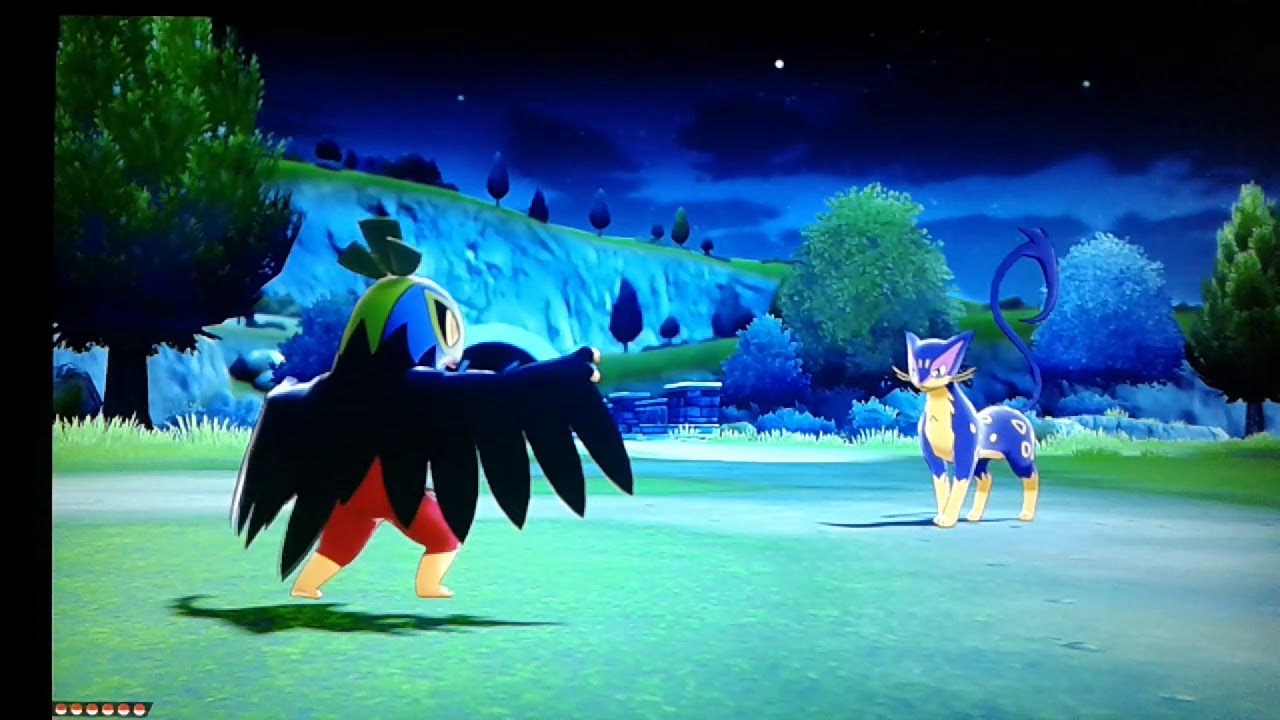 Pokémon Sword - Getting Closer To Encountering Shiny Liepard - YouTube
