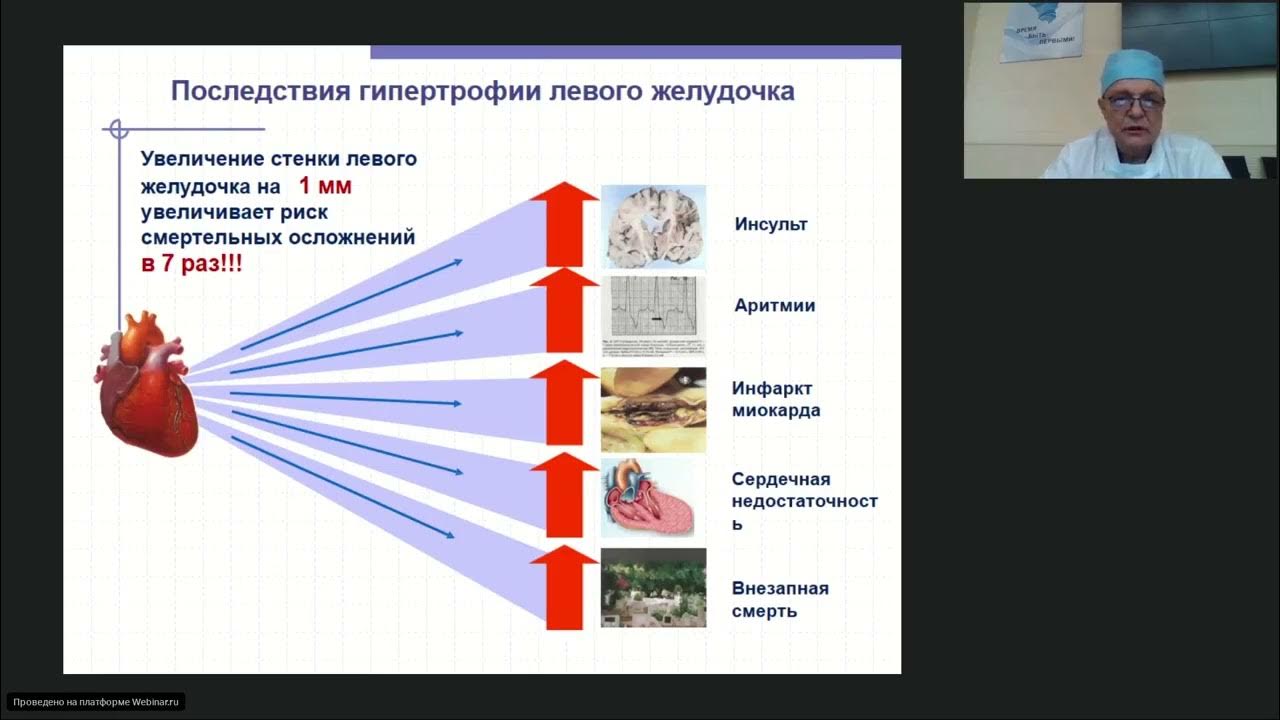 6 Профилактика сердечно сосудистых заболеваний - YouTube