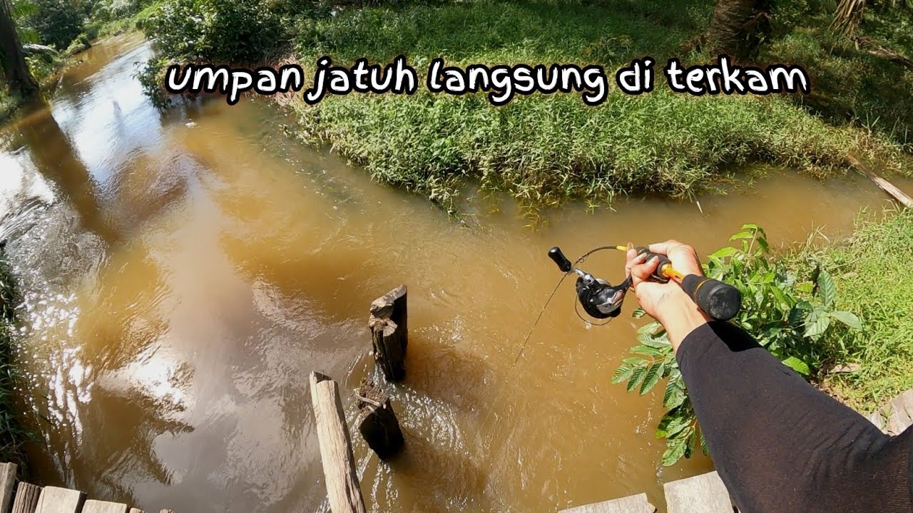 mancing ikan di spot terpencil jarang sekali di jamah pemancing - YouTube