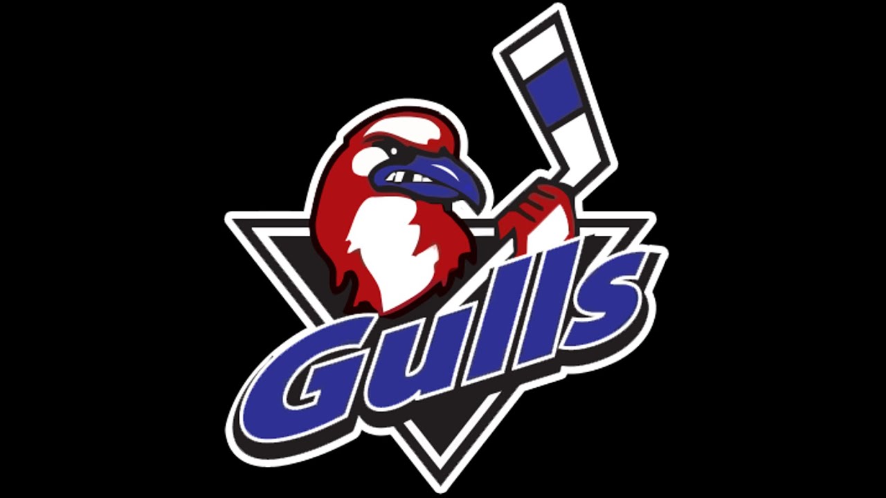 20230203 Long Island Gulls G2 Panthers Ice Den Coral Springs FL @ 2:45 ...