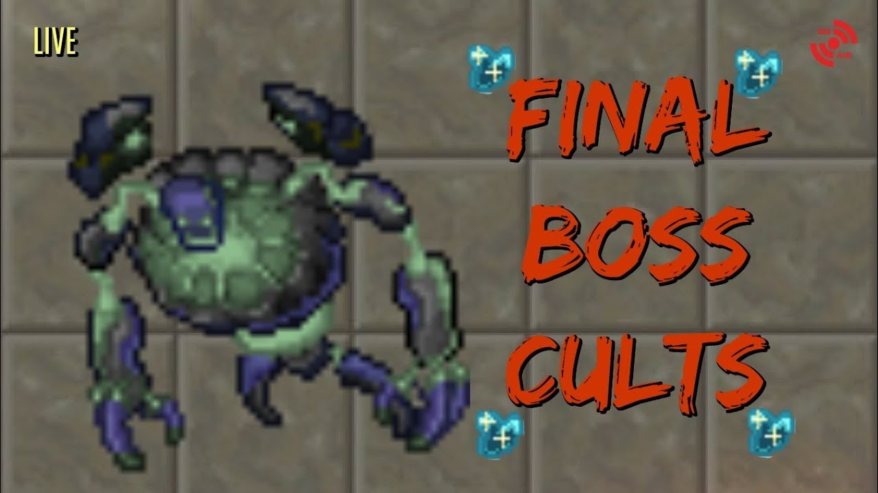 [TIBIA] 🔴live boss final cults! EK 322 - YouTube